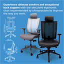 Ergotherapy | NetOne High-Back Chair (Black)