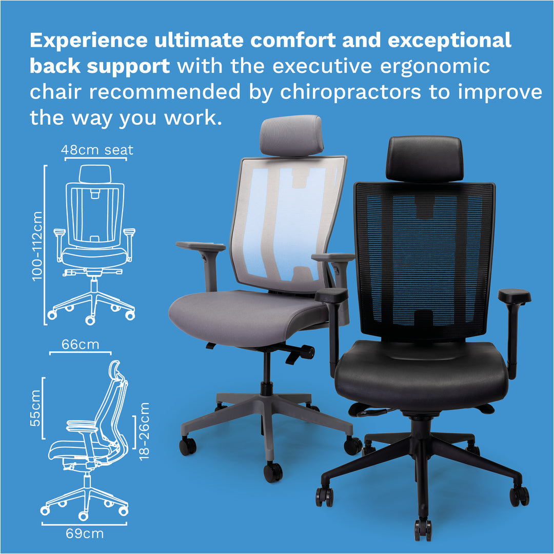 Ergotherapy | NetOne High-Back Chair (Black) | Standard Base & Standard ...