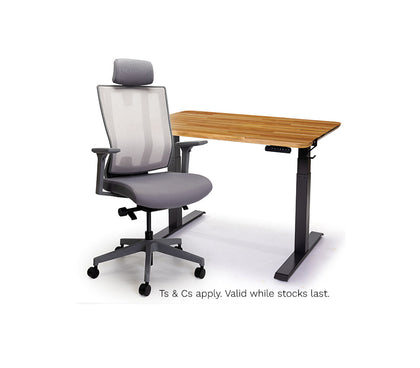 Ergonomic Chairs & Standing Desks | Ergotherapy Solutions